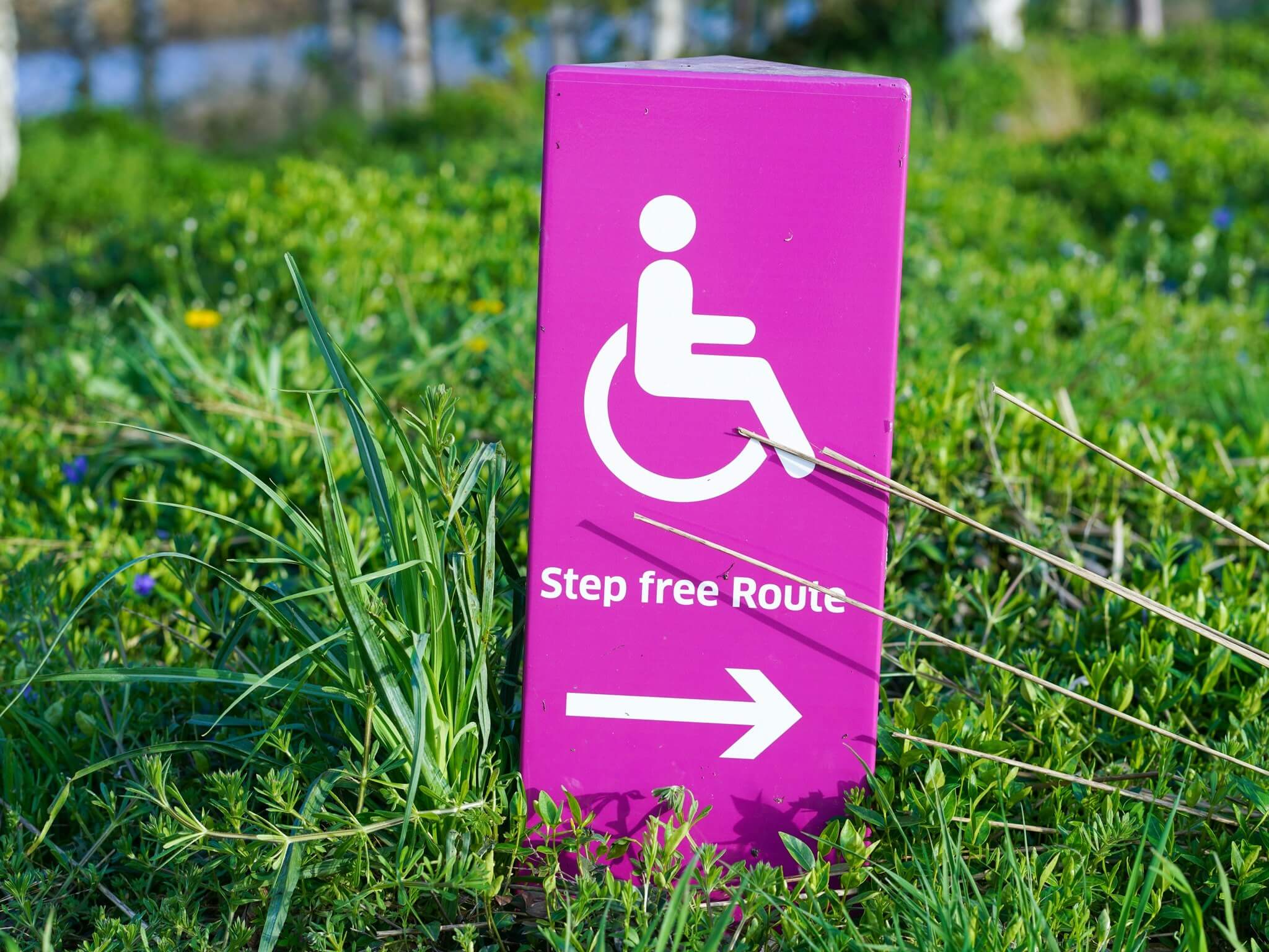 Prioritising Accessibility Means Asking the Big Questions - Thrive ...